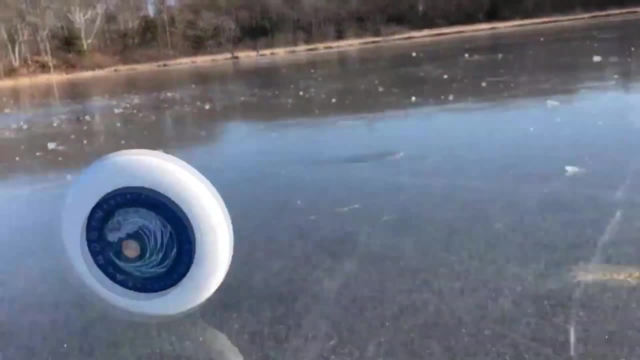 The beautiful world - Coub