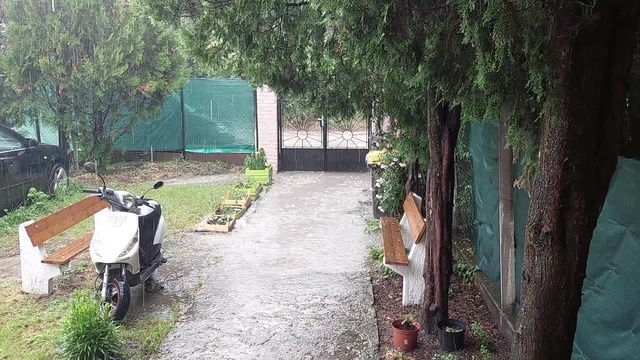 "little" summer rain - Coub