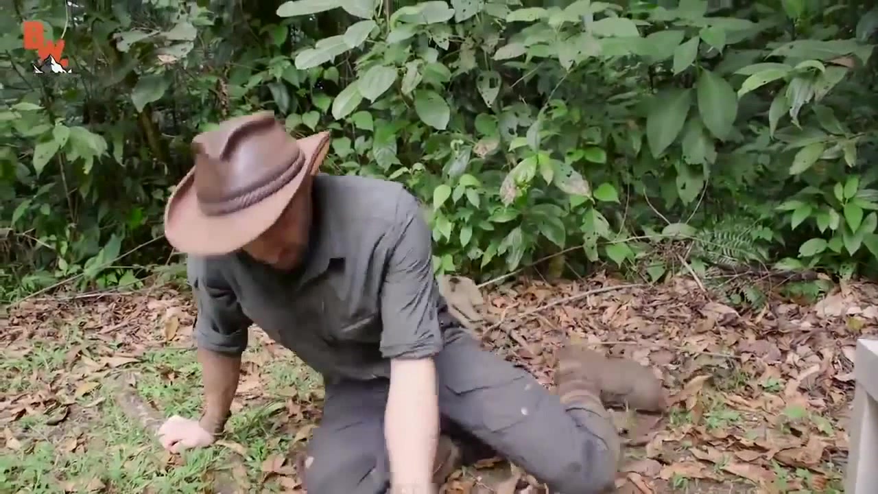 Dank YLYL Meme compilation #121 - Coub