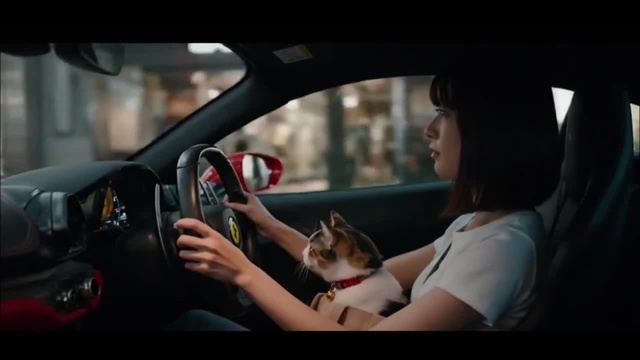 Night Drive ( 夜のドライブ ) - Coub