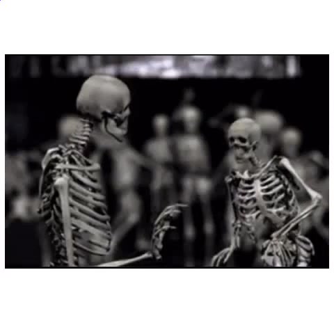 Doot Doot by Classical Gas - Coub