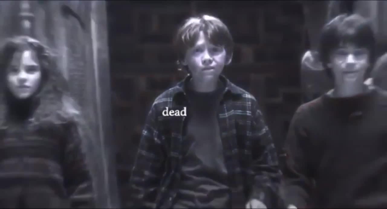 Best trio ever! ️ - Coub