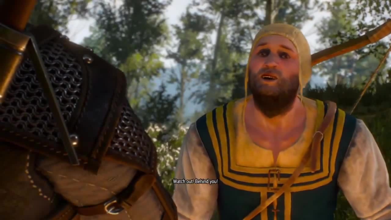 Witcher 3 - Combat / Finisher Compilation HD 1080p - Coub