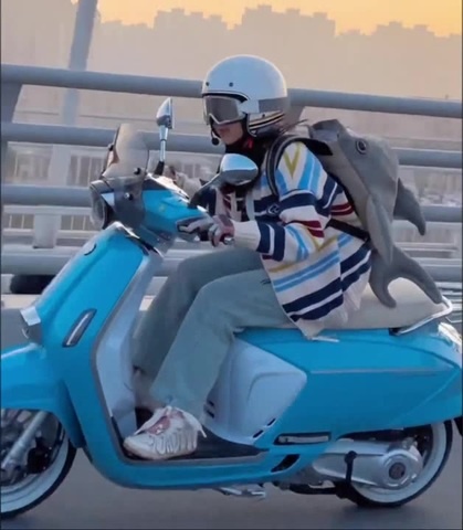 Just for a walk - Coub