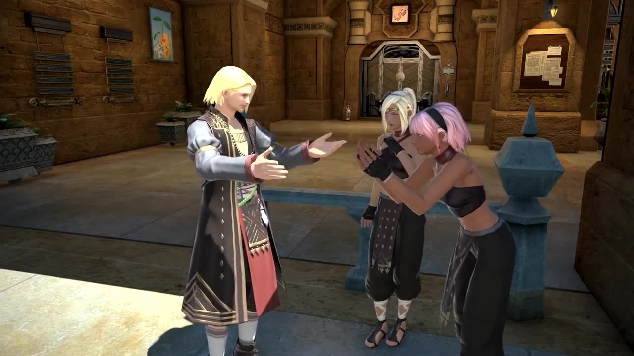 Life of a NPC 3 [FFXIV] - Coub