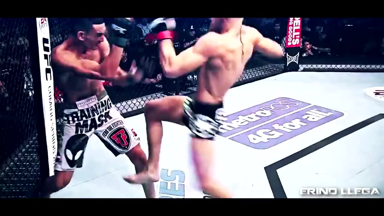 Conor McGregor - Coub