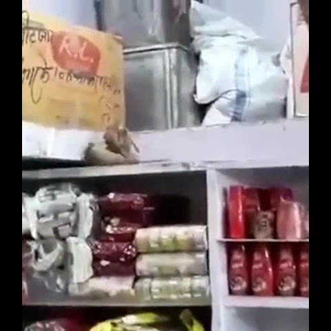 Shoppers fight over merchandise at a store during a sale. More, funny ...