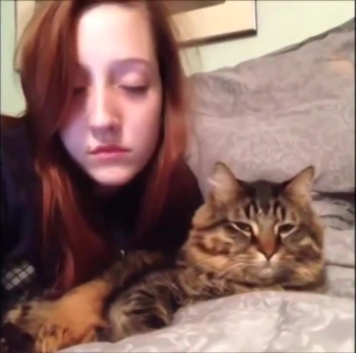 Shake That Cat - Coub