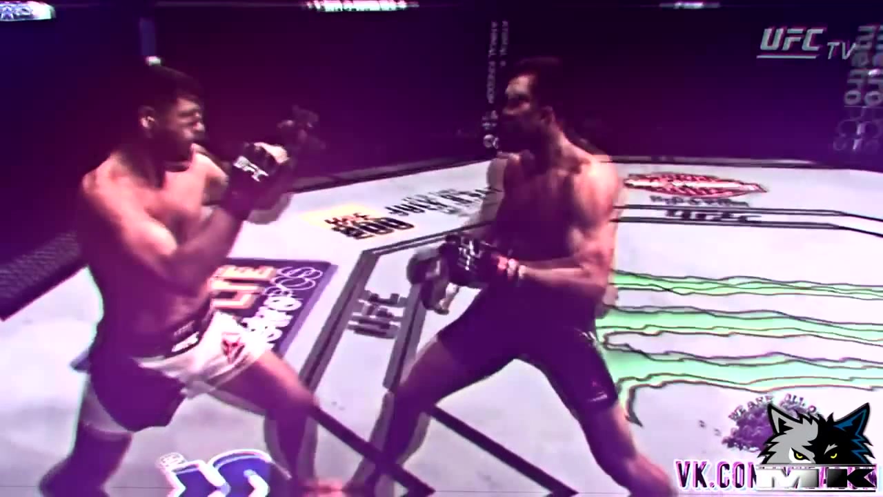 Luke Rockhold vs Michael Bisping - Coub