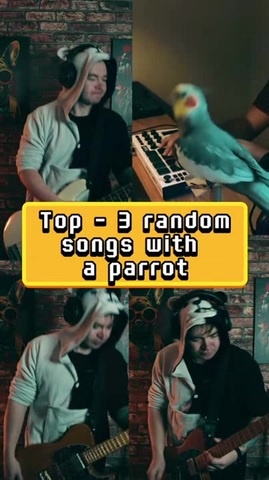 parrot songs.exe - Coub