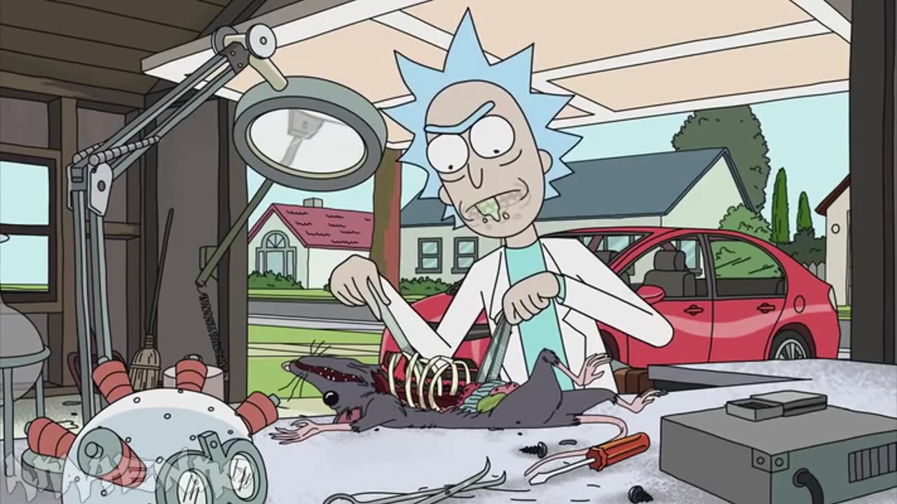 [YTP] Rick and Morty (250 sub special) - Coub