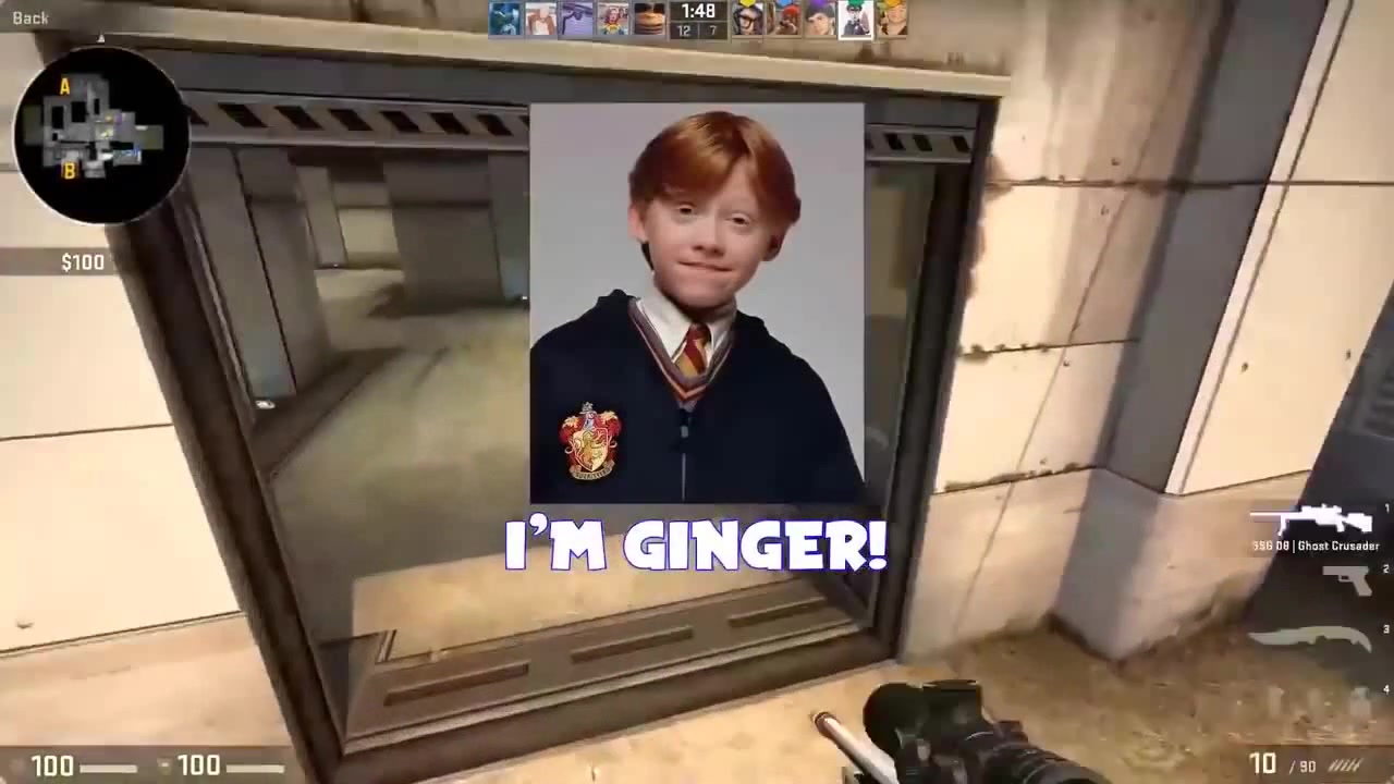 I'M GINGER! - Coub