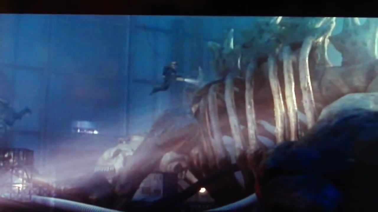 Godzilla 1954 Bones Discovered - Coub