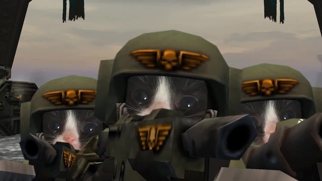 Felinids breakthrough - Coub