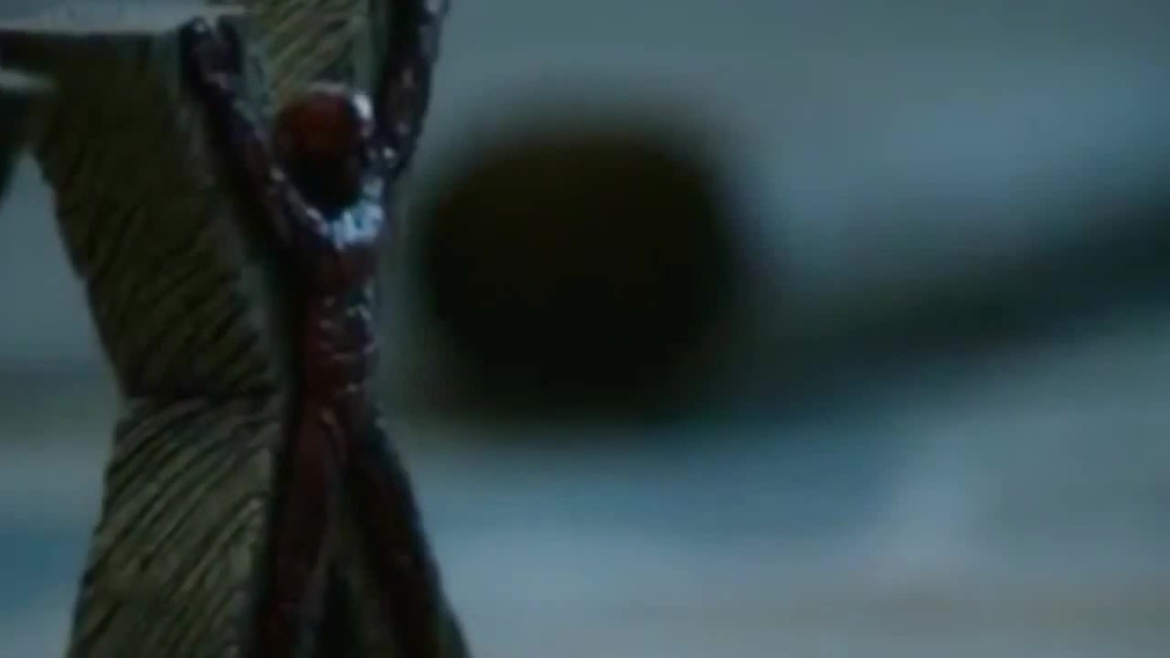 The flayed man - Coub