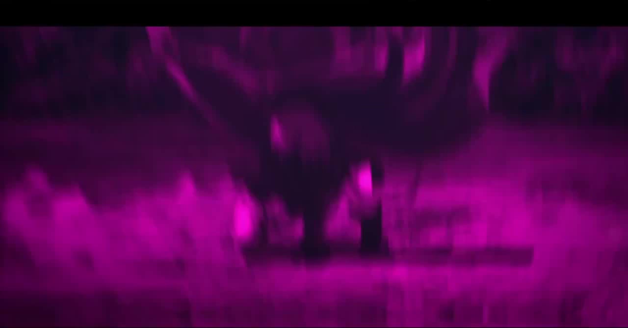 akame ga kill - Coub