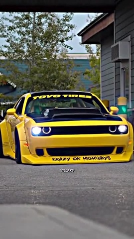 Big bumblebee - Coub