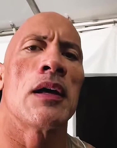 The Rock & Cow - Coub