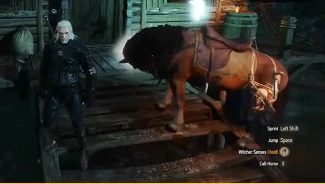 #The Witcher 3: Wild Hunt - Coub