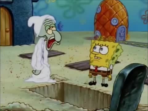 You're Bald?! | SpongeBob SquarePants - Coub