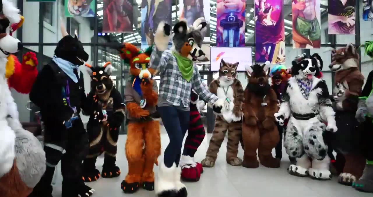 furry dance party - Coub