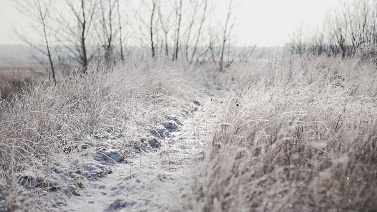 Another perfect winter day - Coub