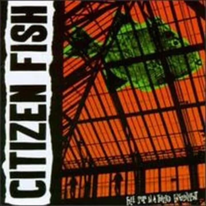 Citizen Fish - Supermarket Song - Coub