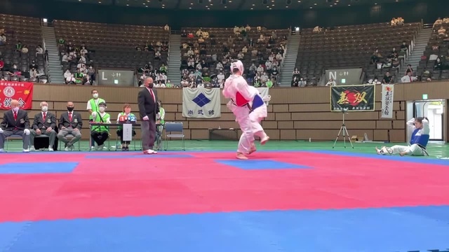 Koshiki Karate | Middle Kick & High Punch - Coub