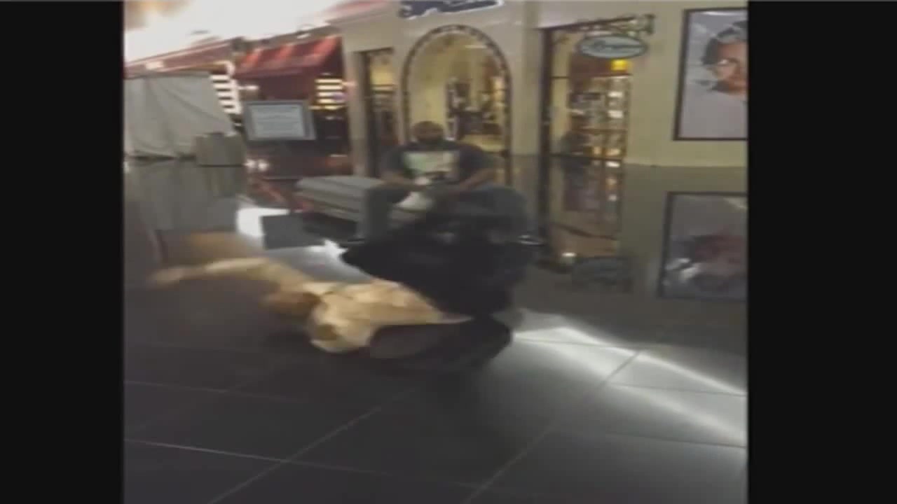 You Can't Do This on Concrete - Coub