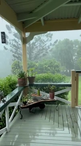 The rainy day - Coub