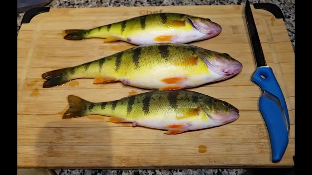 Catch & Cook! Big Perch | How to Cook & Fillet Perch | The Anglers - Coub