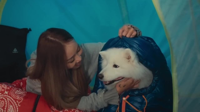 A friend forever - Coub