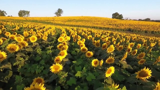 The Long Road - Coub