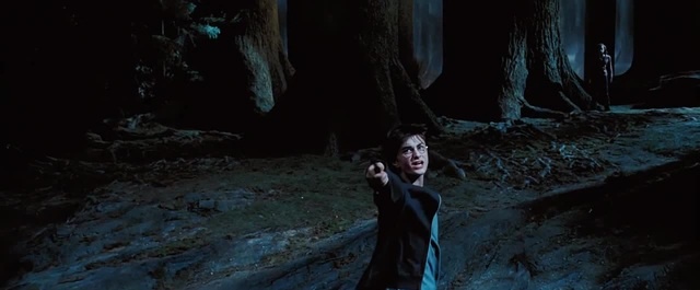 Harry saves Frodo - Coub