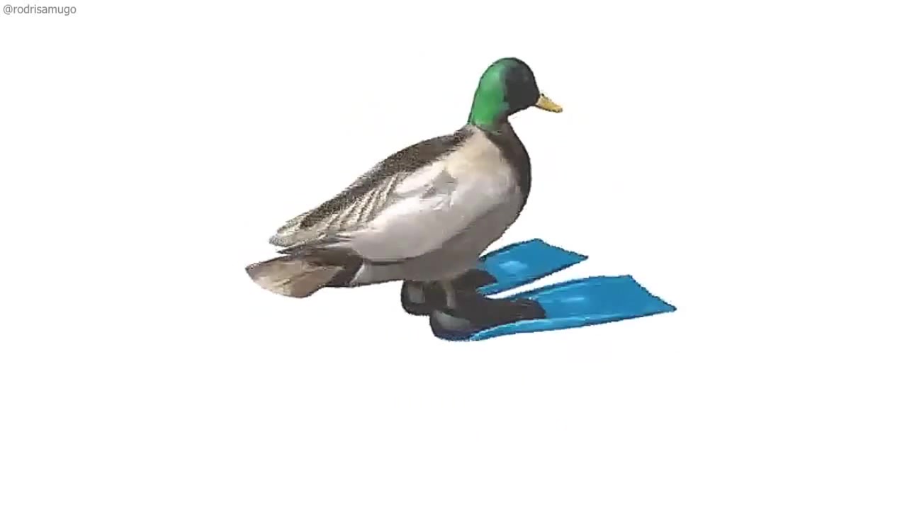 Duck Spinning To Geometry Dash Practice Mode Song - Coub