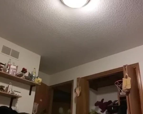 shitpost status compilation #1 - Coub