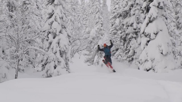 Snow freeride - Coub