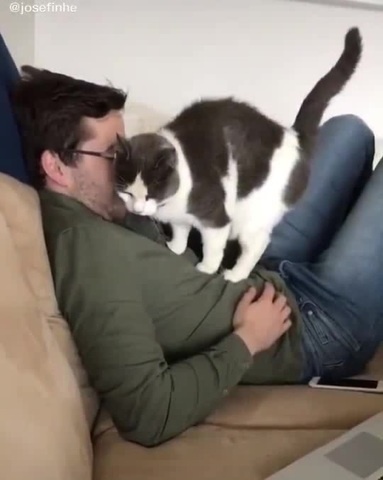 sorry, i'm going back :D - Coub