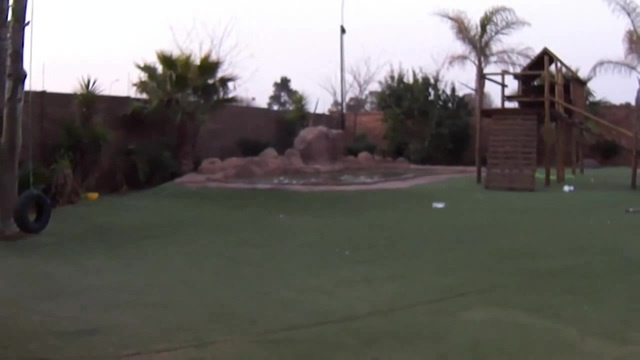 Pure tiger power - Coub