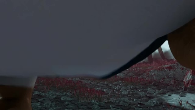 Penguins in Helldivers 2 - Coub