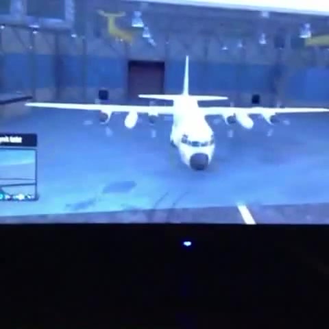 When you just don't give a fudge #IDGAF #TeamIdgaf #GTAV #gtaonline #airplane #explosion - Coub