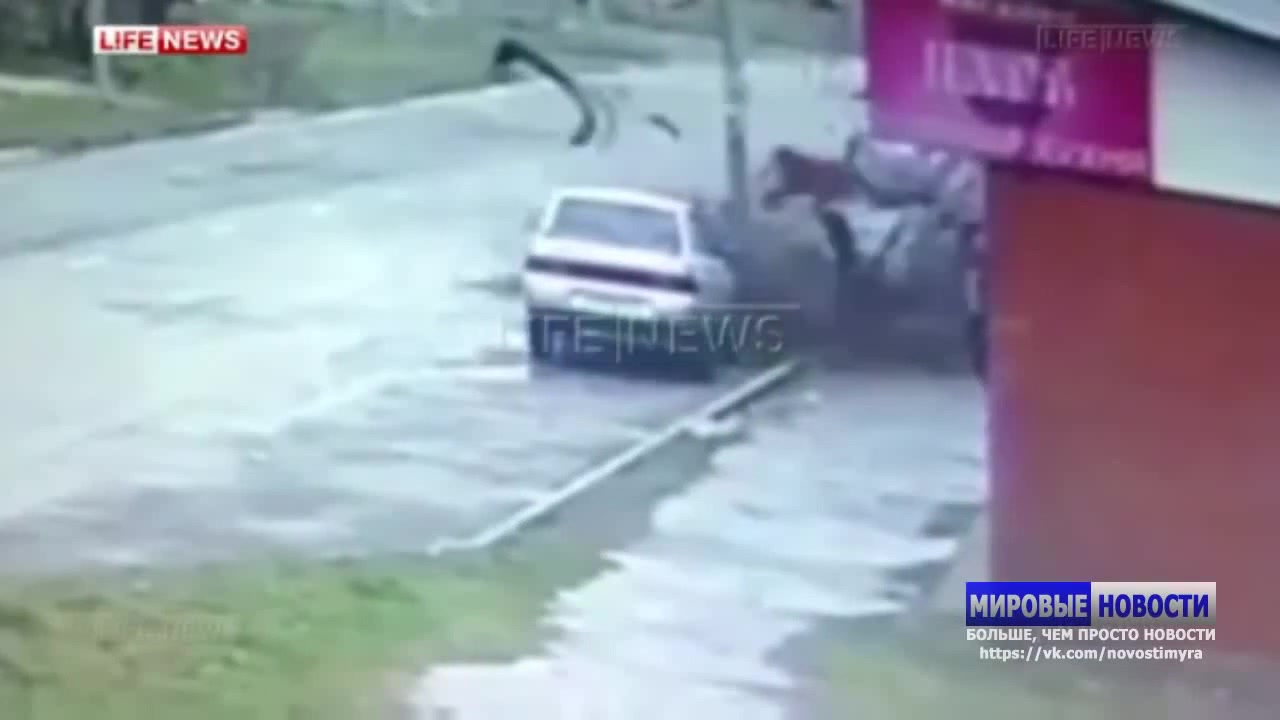 Terminator The beginning - Coub