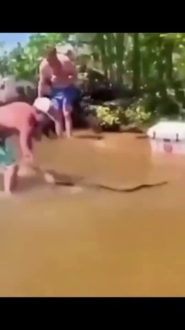 Traveler's Note: How to Behave Correctly When Encountering a Poisonous Snake. 💫Telegram channel ...