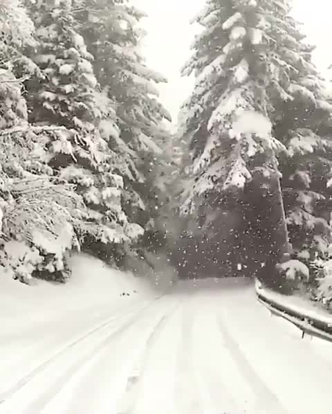 Winter is coming - Coub