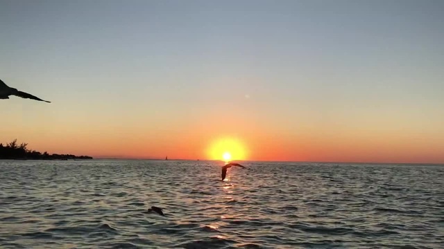 Sunset on the Yucatan beaches - Coub
