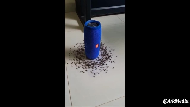 prodigy warriors - Coub