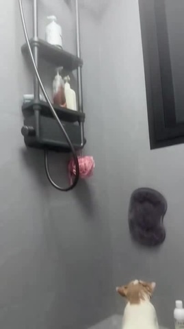 Lonely (song: VRIMA KISHOU - Night Lights) - Coub