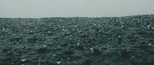 Some walk in the rain, others just get wet - Coub