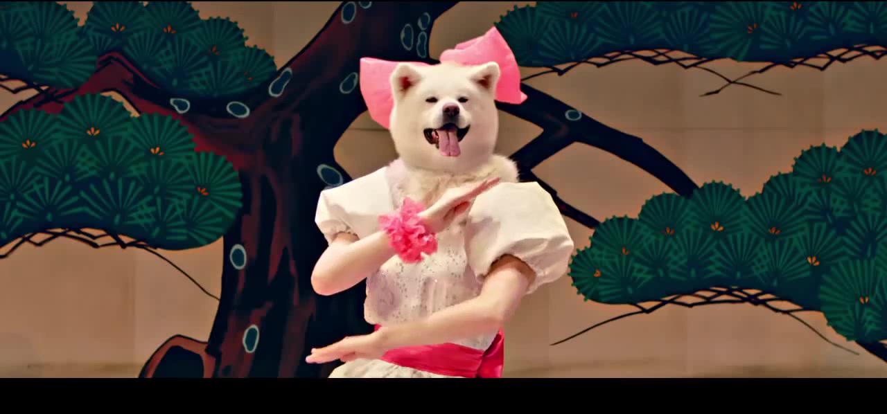 AKITA POP STAR - Coub