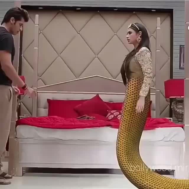 გველი იდგა - Coub